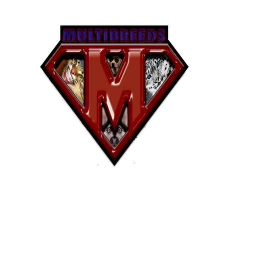 multibreeds.com SEO Report | SEO Site Checkup